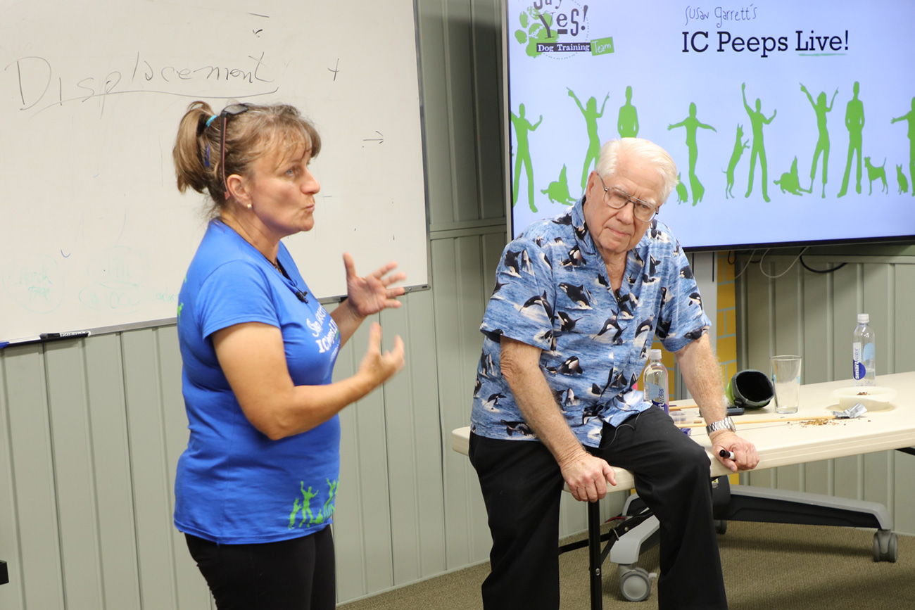 Susan Garrett - SpyBird Productions